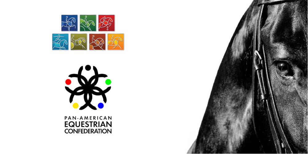 Oficial Site Of PAEC